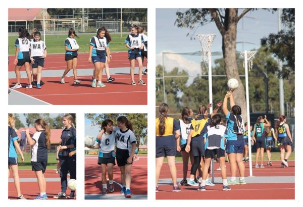 INSPIRE PROGRAMS - Southern River College