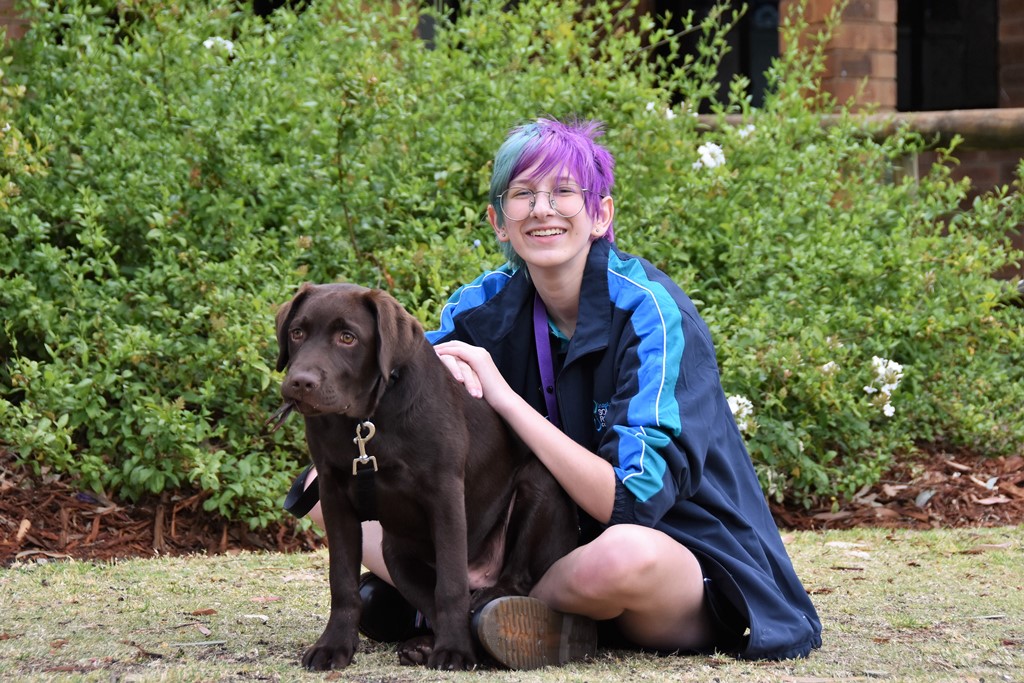 Introducing Baxter - Southern River College